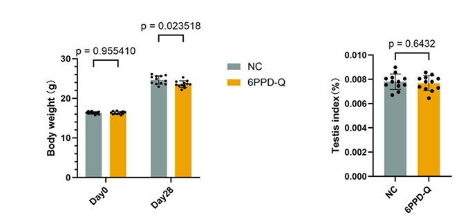 6PPD-Q (6PPD-Quinone) | CNR2 Receptor Agonist | MedChemExpress