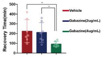Gabazine (SR95531) | GABAA Antagonist | MedChemExpress