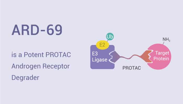 ARD-69 is a Potent PROTAC Androgen Receptor Degrader | MedChemExpress