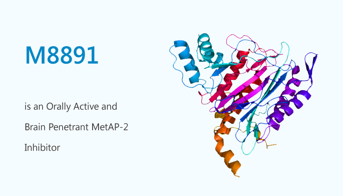 M8891 is an Orally Active and Brain Penetrant MetAP-2 Inhibitor ...