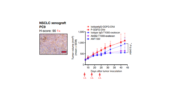 Exatecan (DX-8951) | Topoisomerase I Inhibitor | MedChemExpress