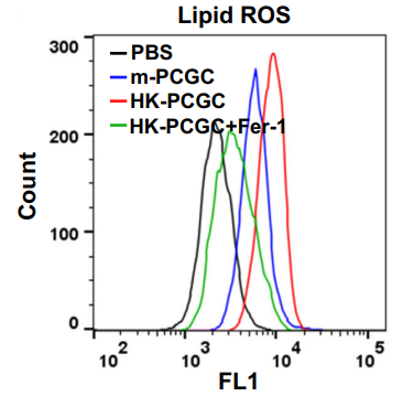 BODIPY 581/591 C11 | Fluorescent Dye | MedChemExpress