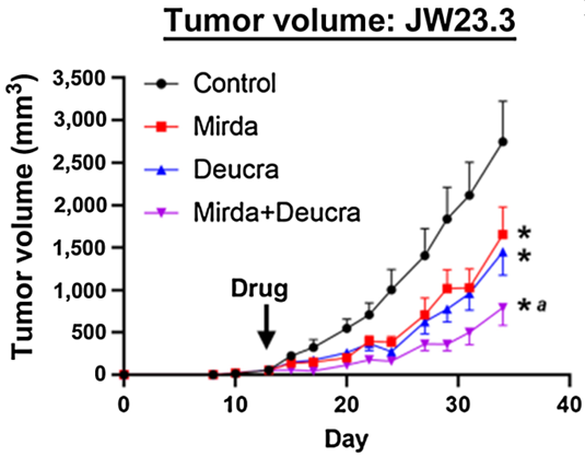 Deucravacitinib (BMS-986165) | TYK2 Inhibitor | MedChemExpress