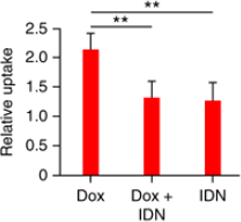 Emricasan (PF 03491390) | pan-Caspase Inhibitor | MedChemExpress