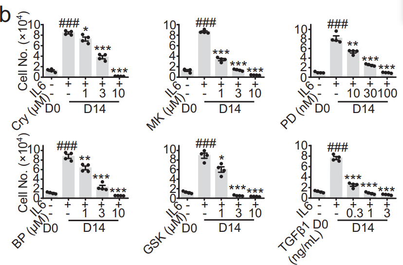 Mirdametinib (PD0325901) | MEK Inhibitor | MedChemExpress