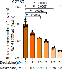 Navitoclax (ABT-263) | Bcl-2 Inhibitor | MedChemExpress