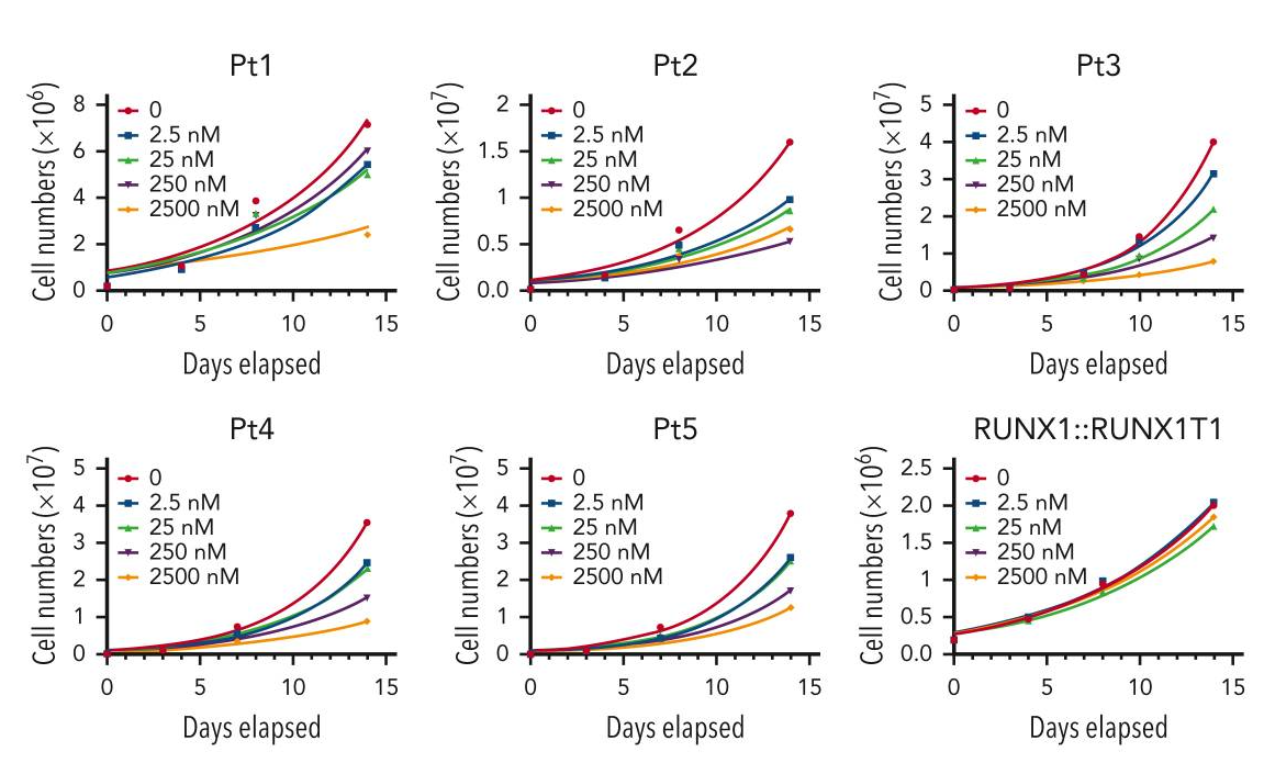 Revumenib (SNDX-5613) | Menin-MLL Inhibitor | MedChemExpress