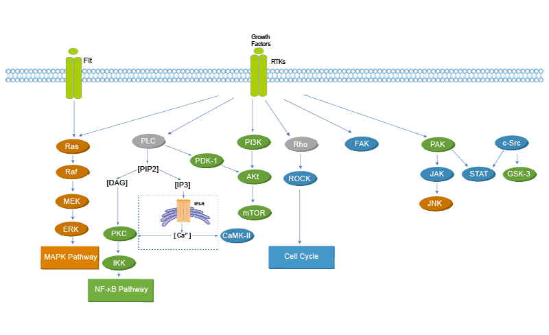 Tyrosine Kinase Inhibitors | MedChemExpress