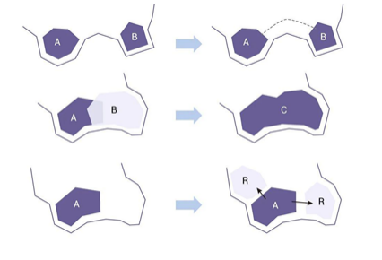 Fragment-Based Drug Development - MedChemExpress